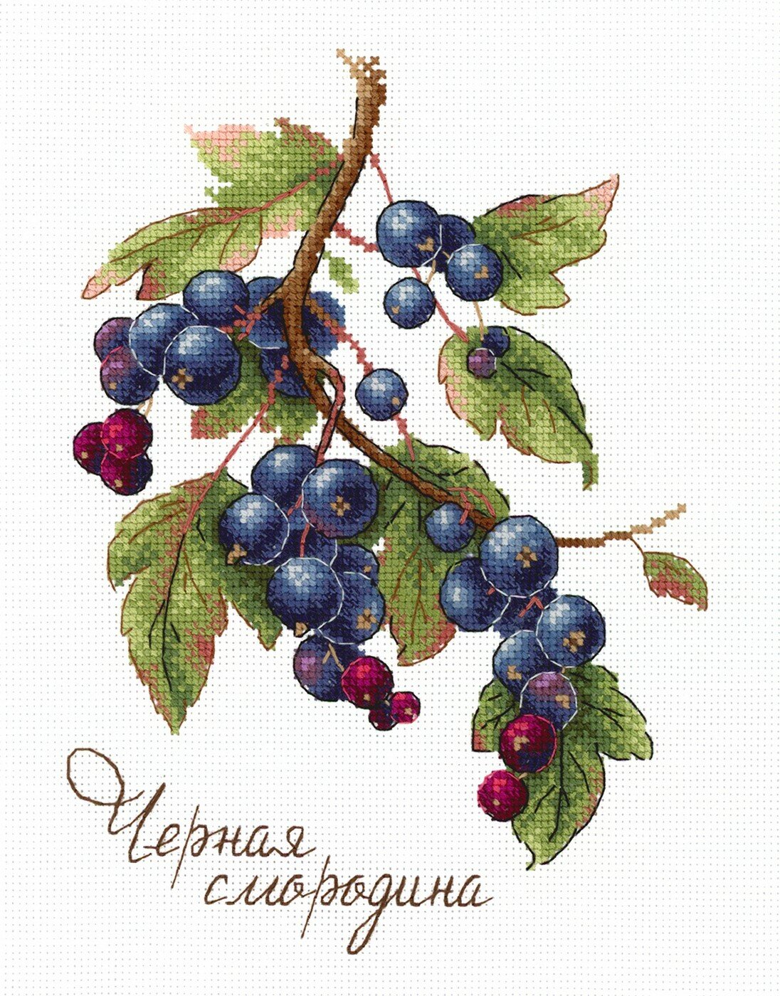 Вышивка Дары природы. Чёрная смородина 20x15 см.