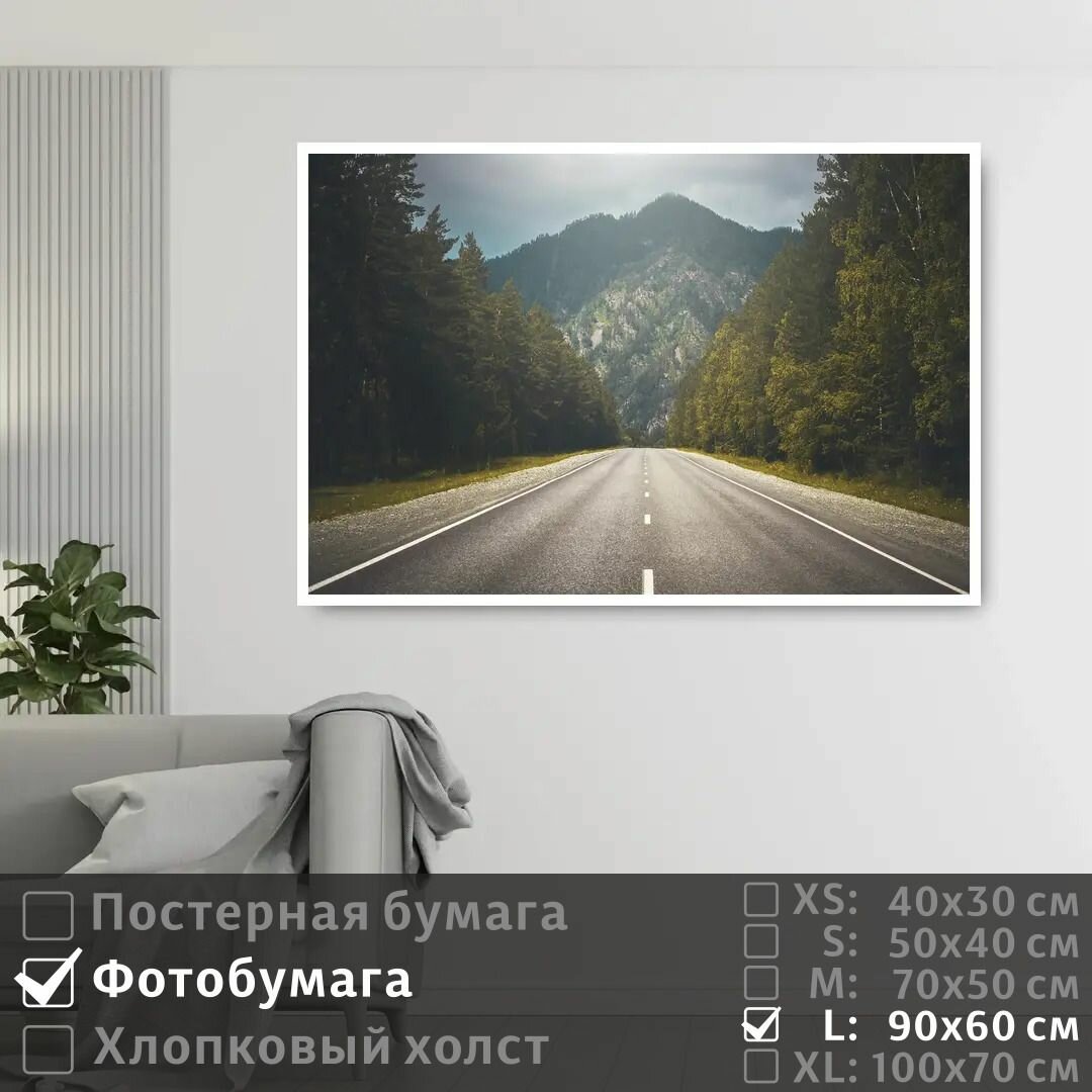 Постер на фотобумаге Дальняя Дорога В Горы Вдоль Соснового Леса 90х60 см ПолиЦентр