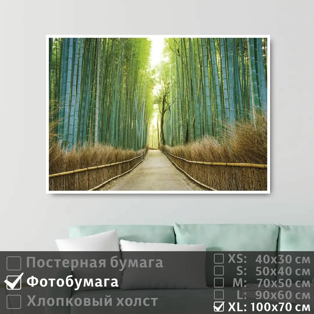Постер на фотобумаге Бамбуковый Лес В Японии 100х70 см ПолиЦентр