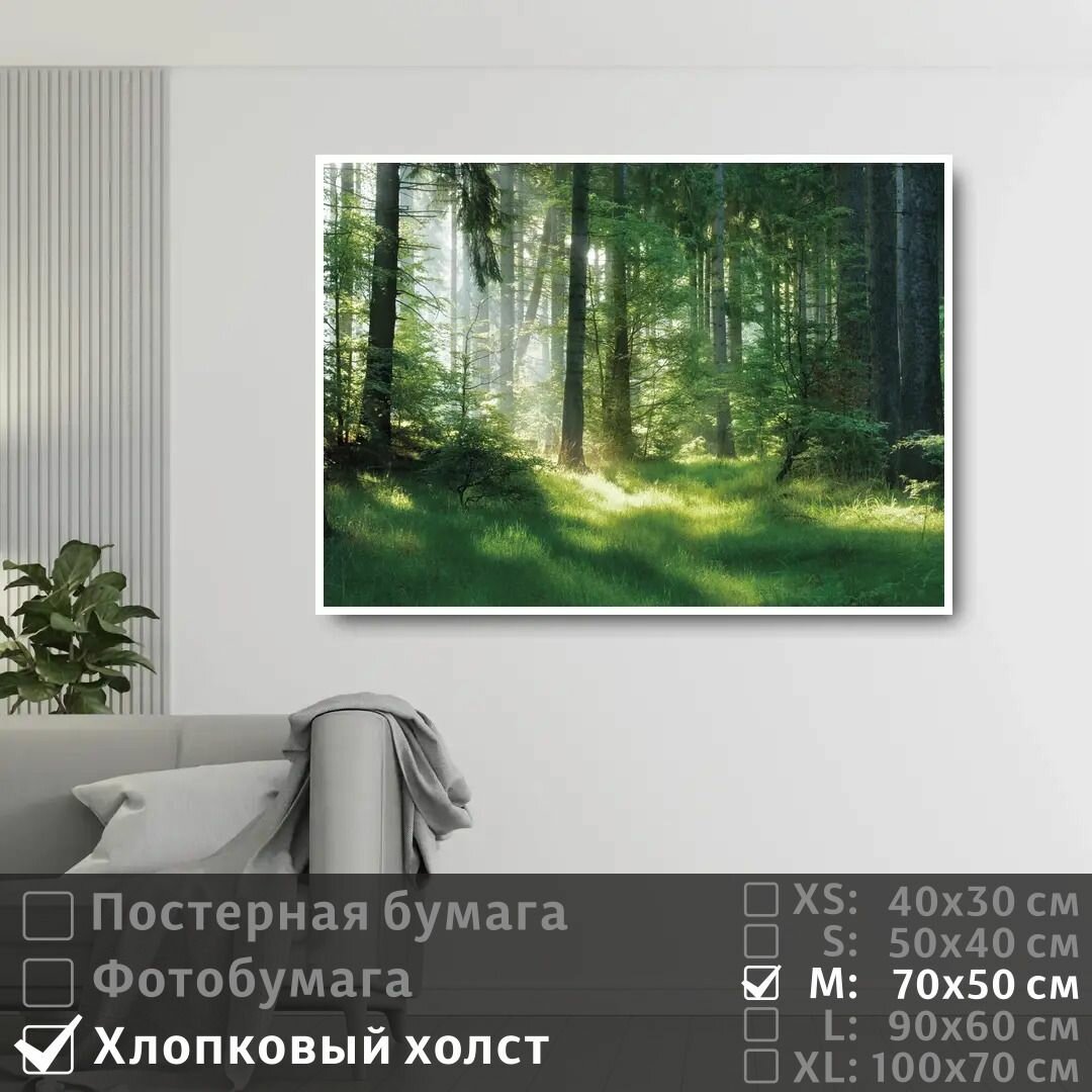 Постер на холсте Солнечные Лучи На Рассвете В Лесу 70х50 см ПолиЦентр