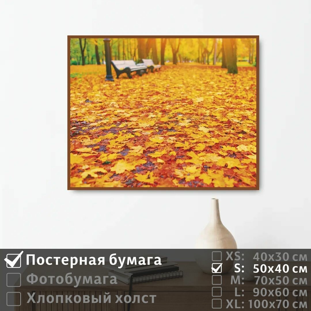 Постер на стену Осенние Листья На Тропинке В Городском Парке 50х40 см ПолиЦентр