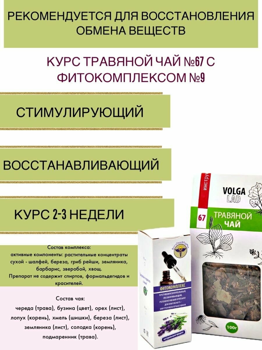 Набор для восстановления обмена веществ Травяной чай ВолгаЛадь-67 с фитокомплексом №9 2 шт 70/10 г