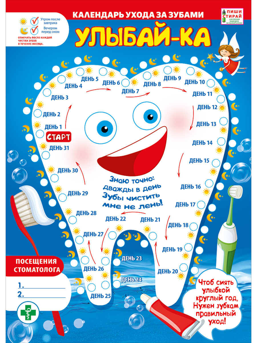 071.046 Плакат "Календарь ухода за зубами" (Пиши-стирай)