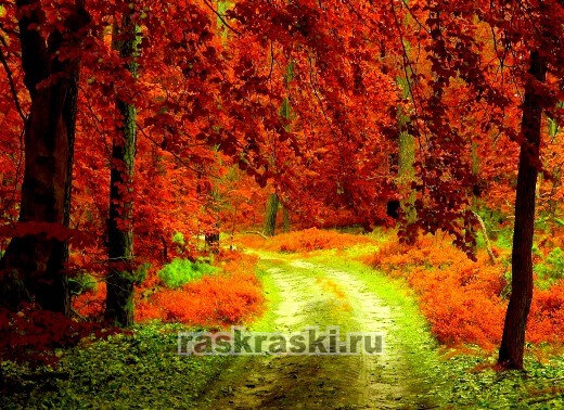Яркие грани алмазная мозаика — купить по низкой цене на Яндекс Маркете