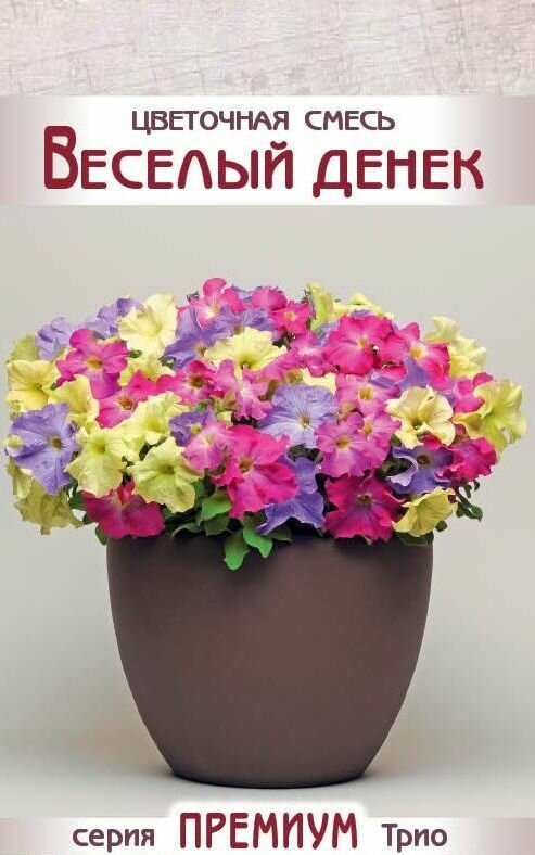 Цветочная смесь Веселый денек