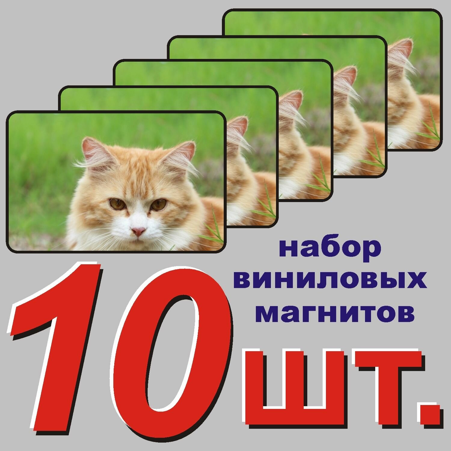 Магнит на холодильник "Котики" 10 шт.