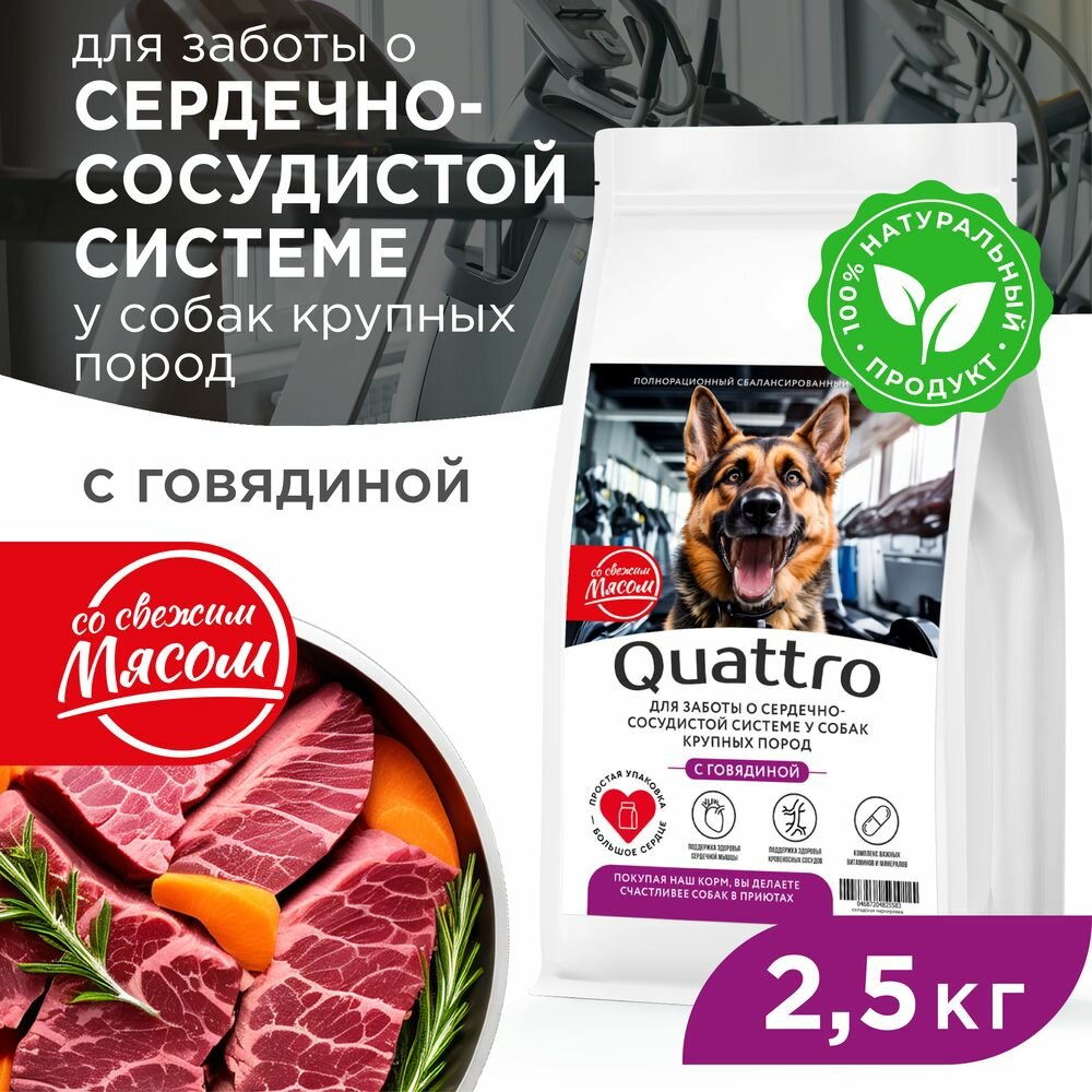 Quattro корм для взрослых собак крупных пород, для сердечно-сосудистой системы, с говядиной 2,5 кг
