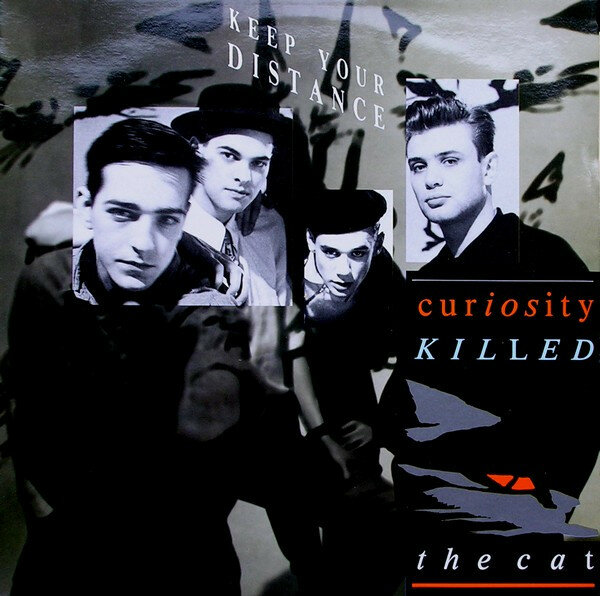 CURIOSITY KILLED THE CAT Keep Your Distance