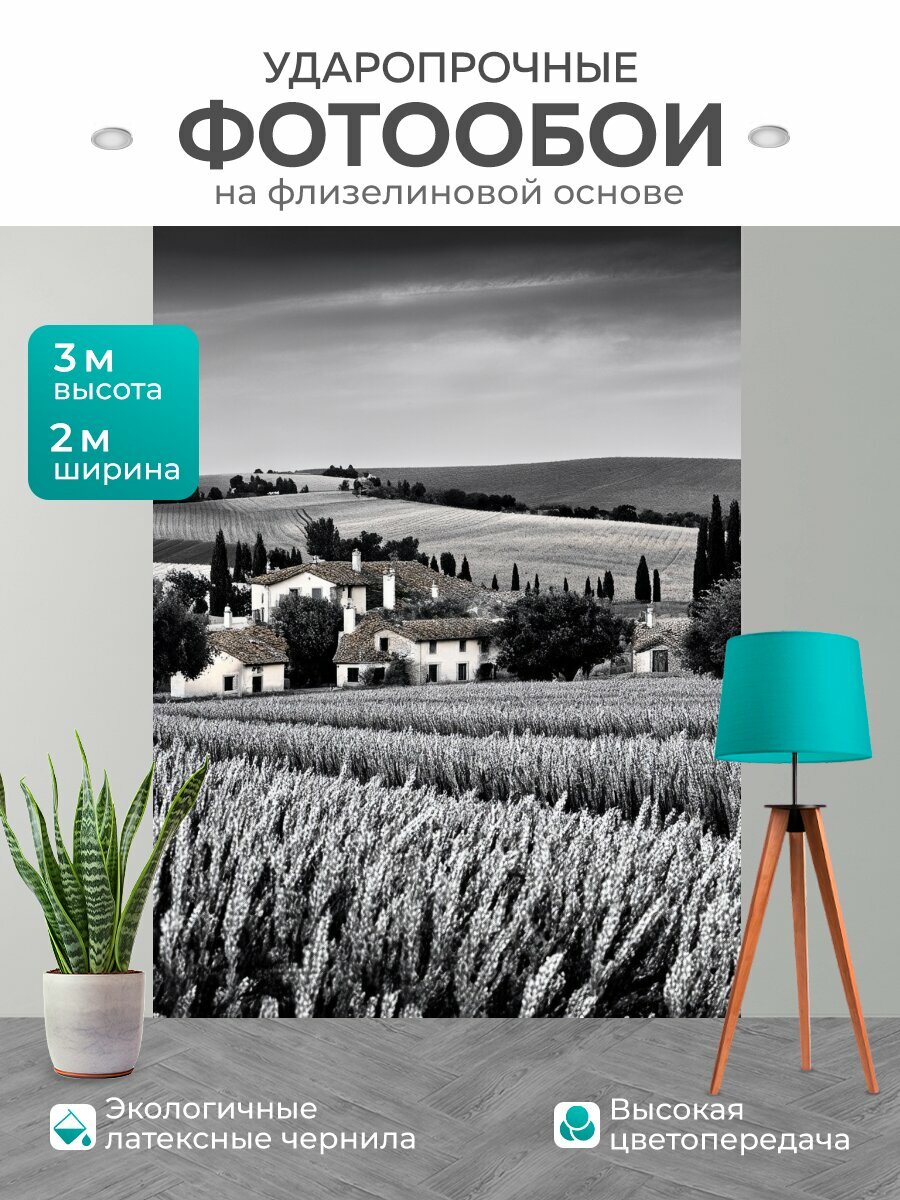 Фотообои моющиеся ударопрочные "Прованс: тихая реализация домашней атмосферы в её натуральной красоте. деревенские просторы открывают величие окружающего" 200x300 см. флизелиновые на стену