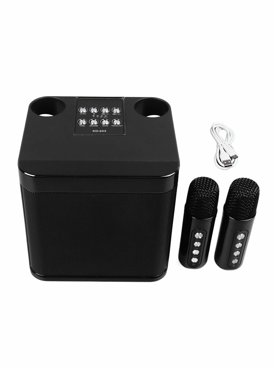 Bluetooth-караоке-акустическая система, портативный мини-беспроводной динамик, 2 микрофона для домашней вечеринки, кемпинга, мероприятий на открытом воздухе