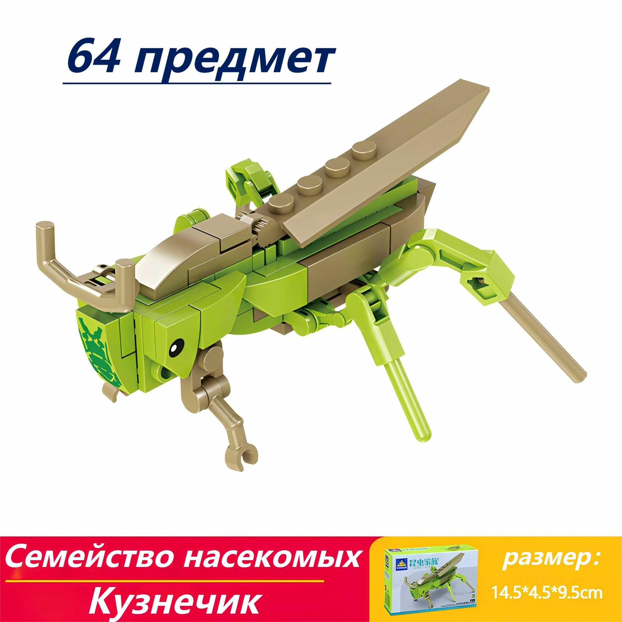 Семейство насекомых/Кузнечик/64 принадлежности