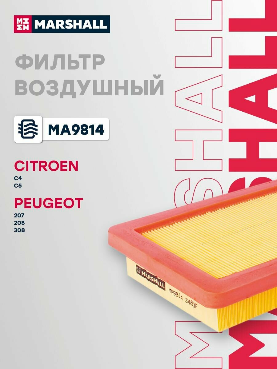 Фильтр воздушный CITROEN ситроен C4 C5 PEUGEOT пежо 207 208 308 C36003 1444TT 3557948