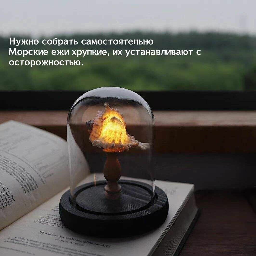 Морской еж, декоративный ночник из раковины, подарок для друзей.