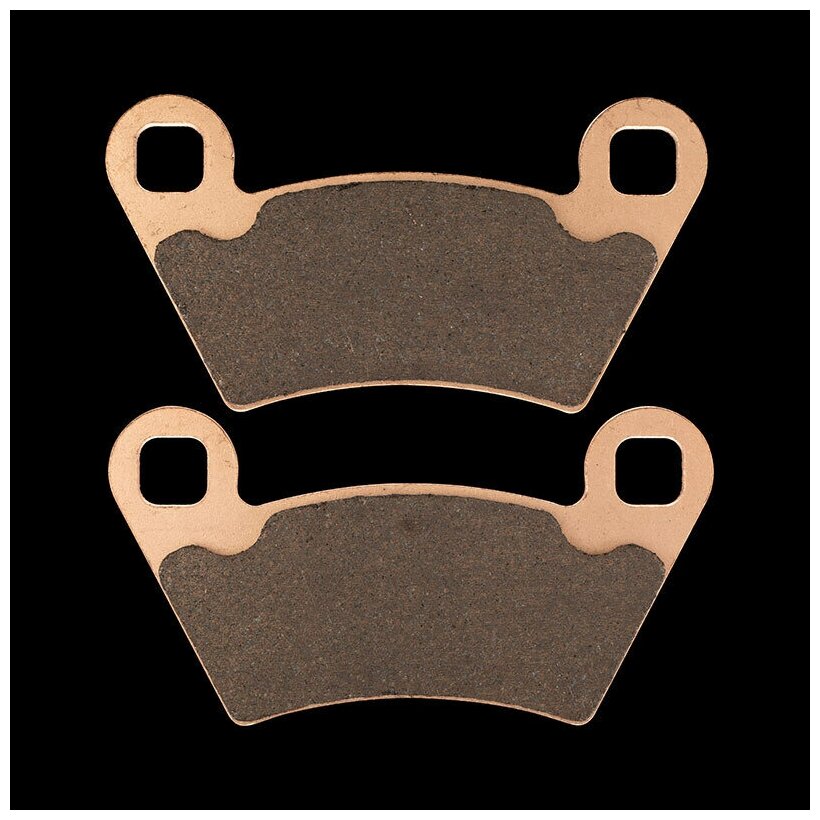 Тормозные колодки Polaris RZR зад. Godzilla FA 354 FA354