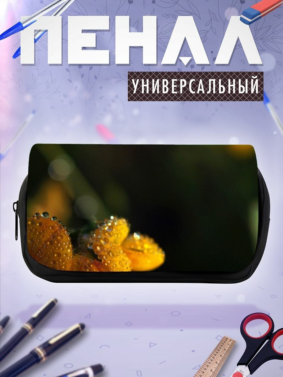 Школьный пенал влага роса