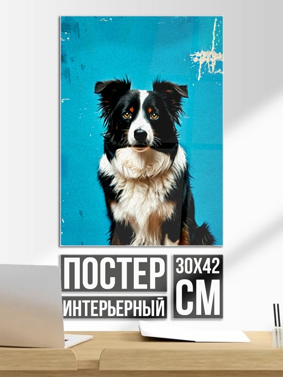 Постер на стену Бордер-колли на синем