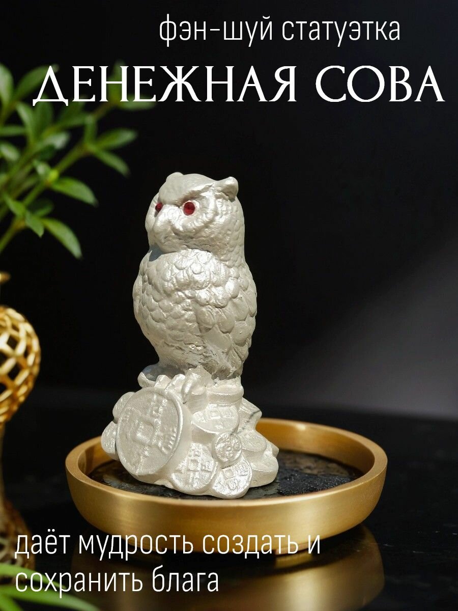 Белая сова на монетах привлекает удачу оберег семьи фен шуй