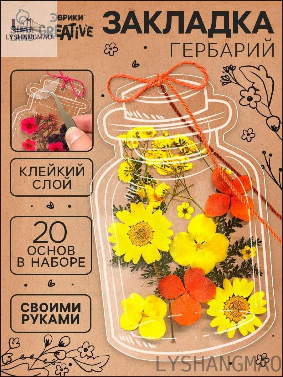 Сокровище найдено! Набор для экспериментов