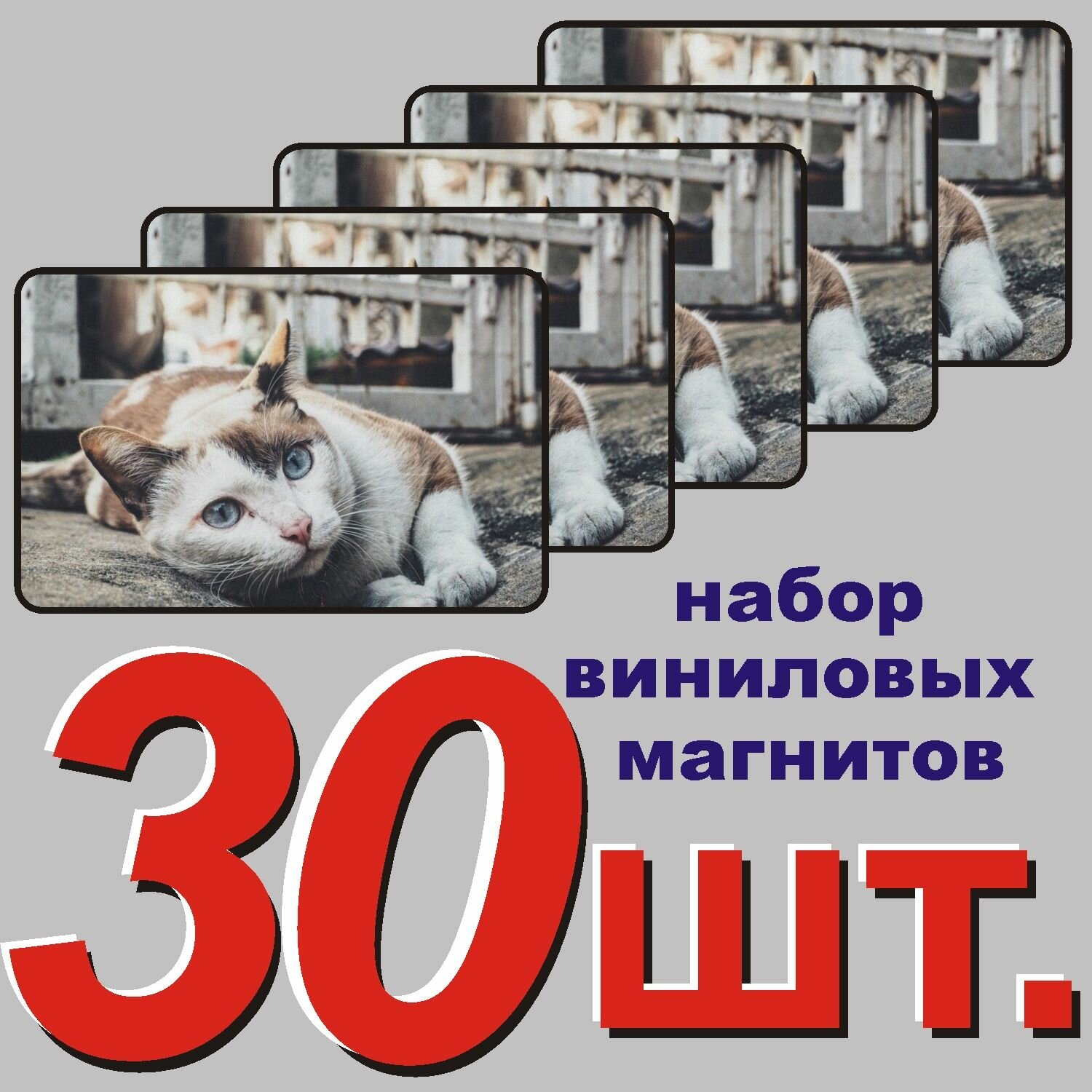 Магнит на холодильник "Котики" 30 шт.