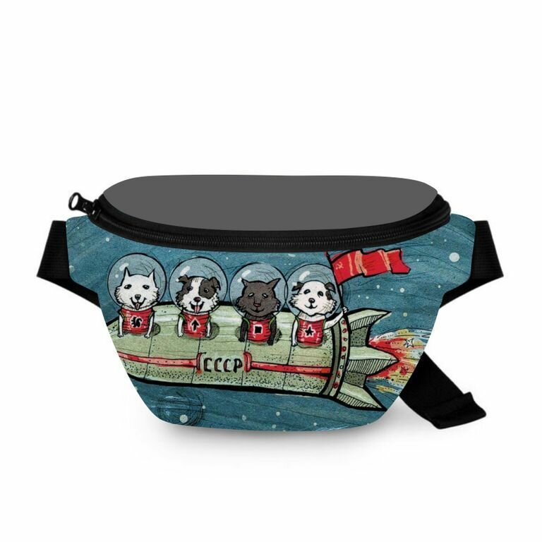 Сумка поясная