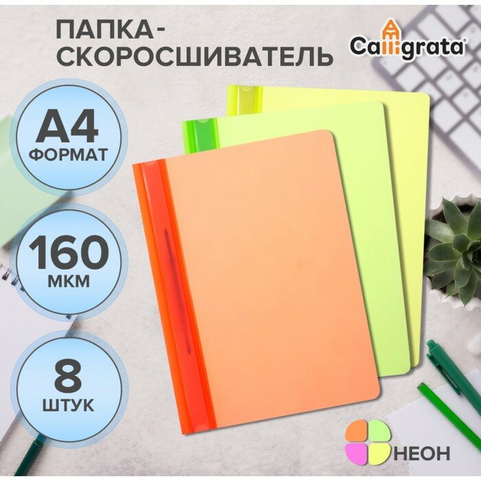 Набор папок-скоросшивателей А4, Calligrata Neon, 160 мкм, 8 штук, микс, прозрачный верх, 2 шт.