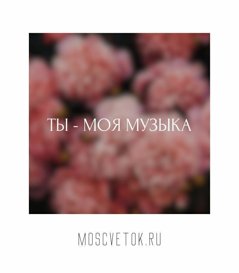 Открытка "Ты - моя музыка"
