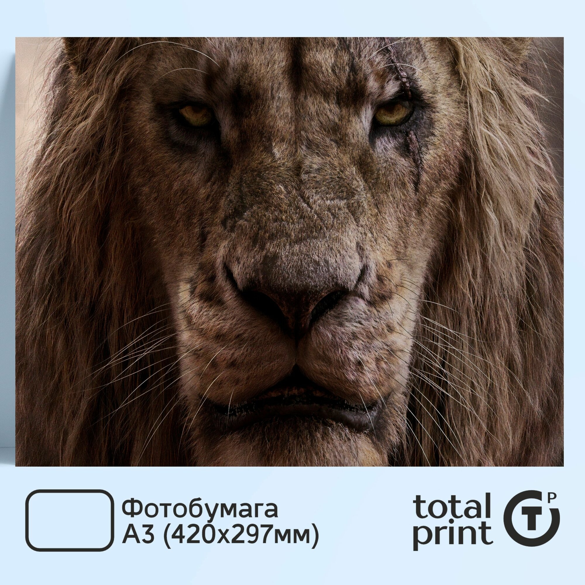 TotalPrint Постер для интерьера, Король Лев, А3(42х29,7см)