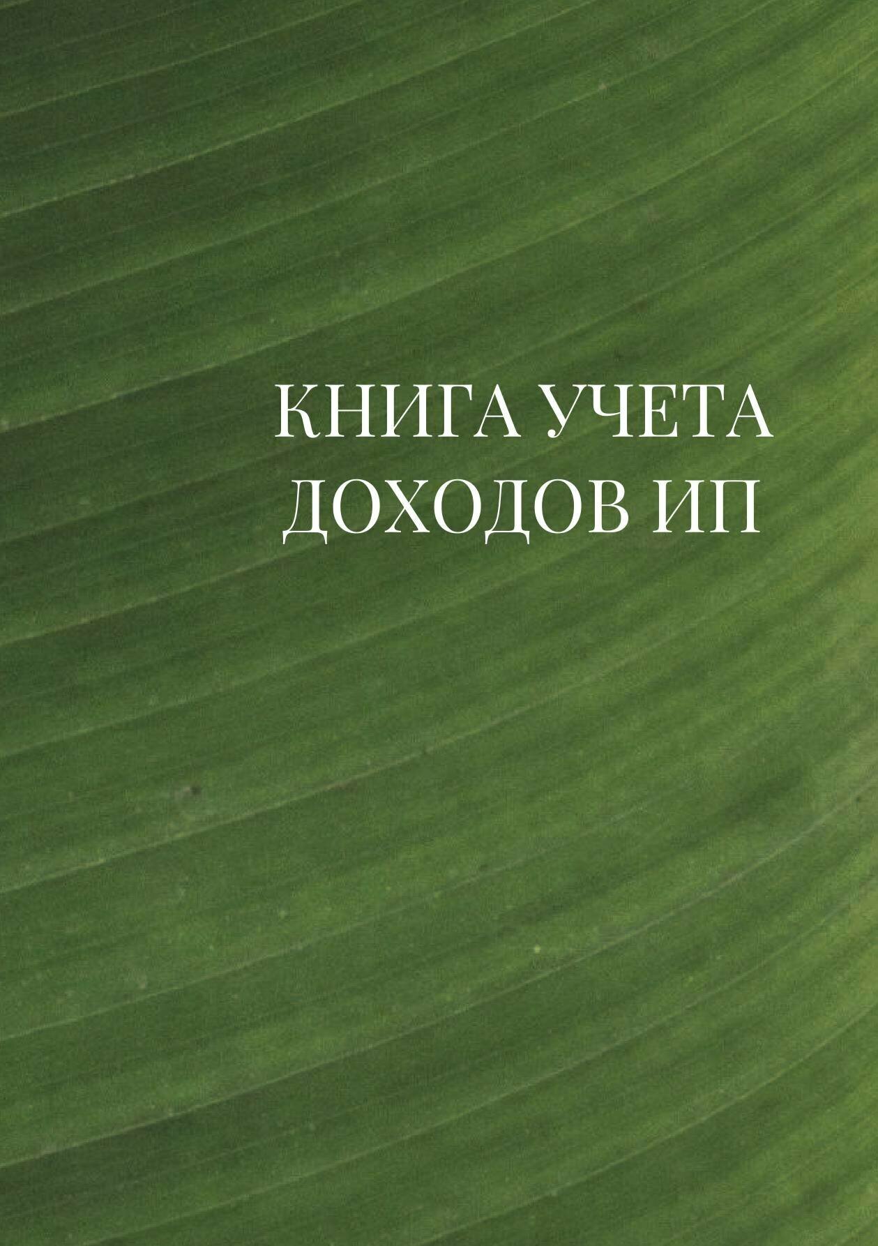 Книга учета доходов для ИП на патенте