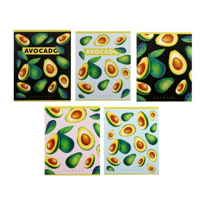 Тетрадь 48 листов в клетку "Авокадо", обложка мелованный картон, блок офсет, микс