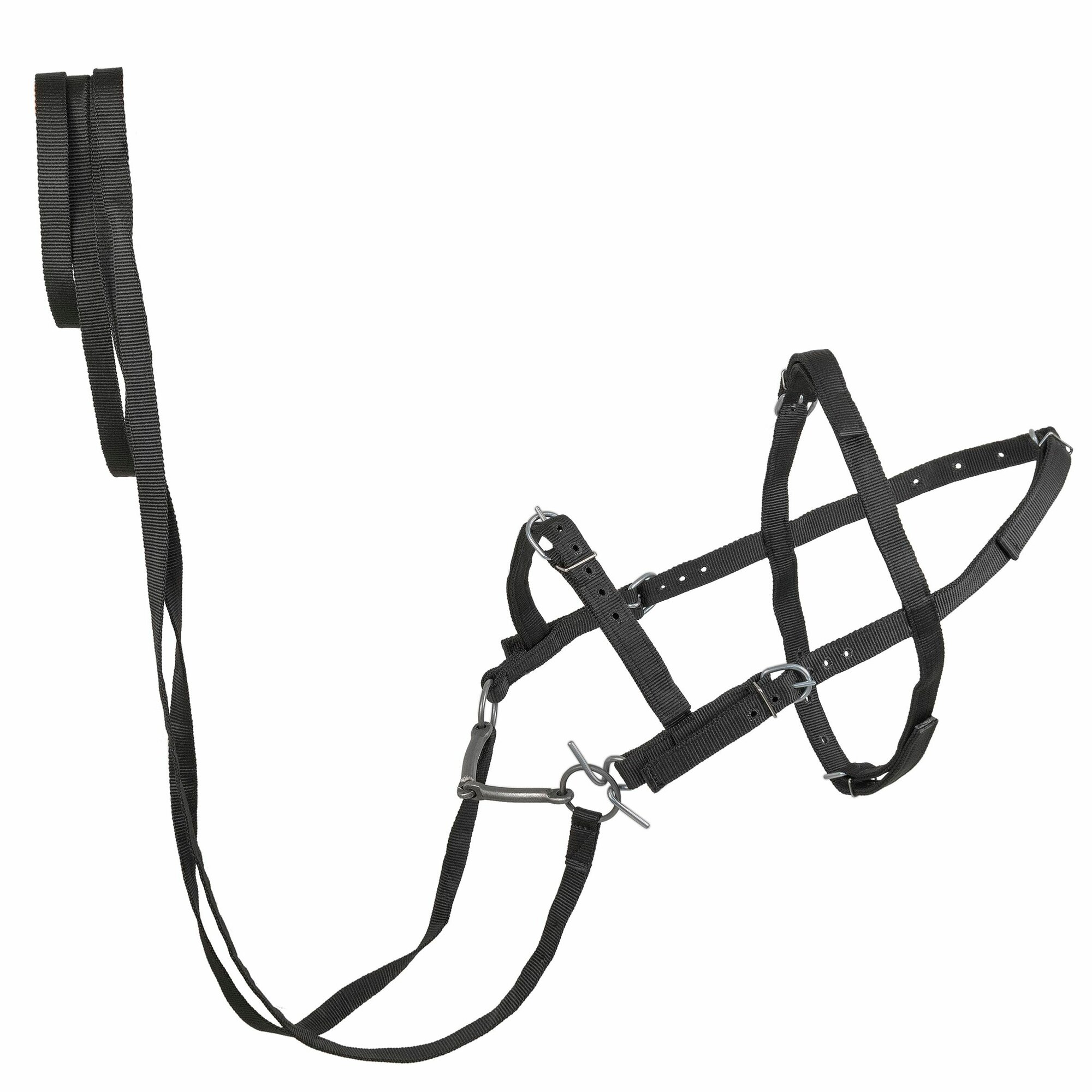 Узда капроновая двойная, узда для лошади регулируемая разборная REITER 25 мм