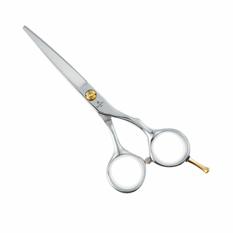 Ножницы парикмахерские профессиональные прямые DEWAL Pro серия PROFI STEP, 5,5", нержавеющая сталь 6CR, чехол на молнии, серебристые