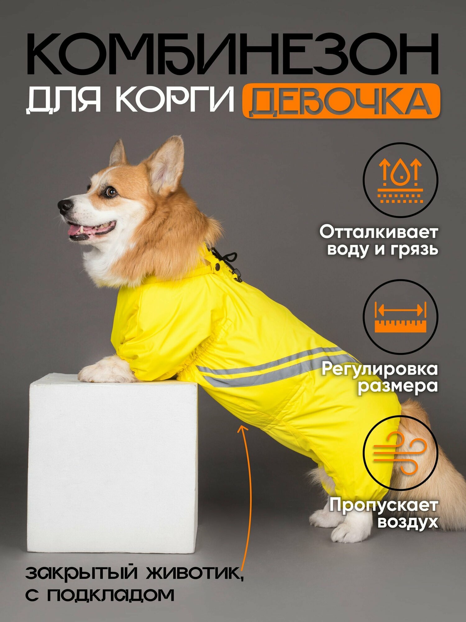 Грязезащитный комбинезон DiploDog для Корги (девочка), Одежда для Корги (девочка)