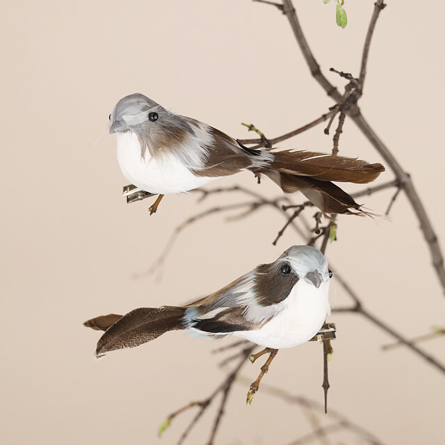 Елочная игрушка Птичка Пересмешник 11 см, 2 шт, клипса, Kaemingk, 727376-3