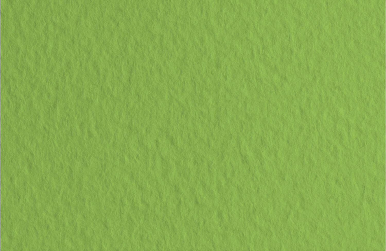 Бумага для пастели TIZIANO 160г/кв. м 500х650мм цв.№14 зеленый мох