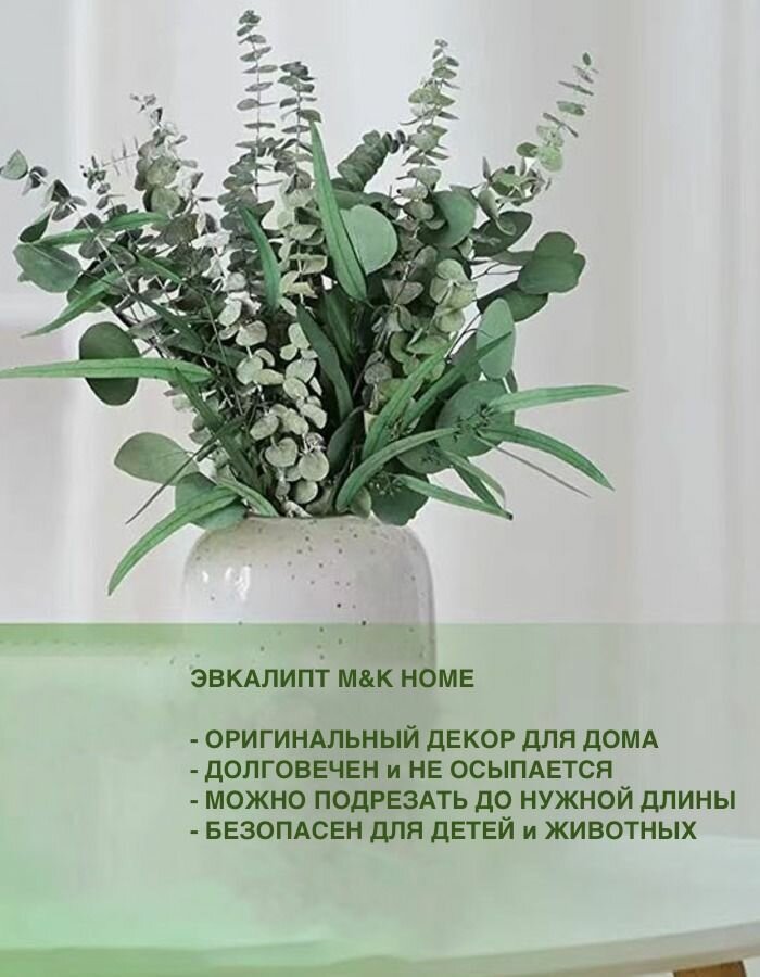 Стабилизированный эвкалипт для декора натуральный сухоцвет с ароматом, долговечный букет для интерьера и подарка