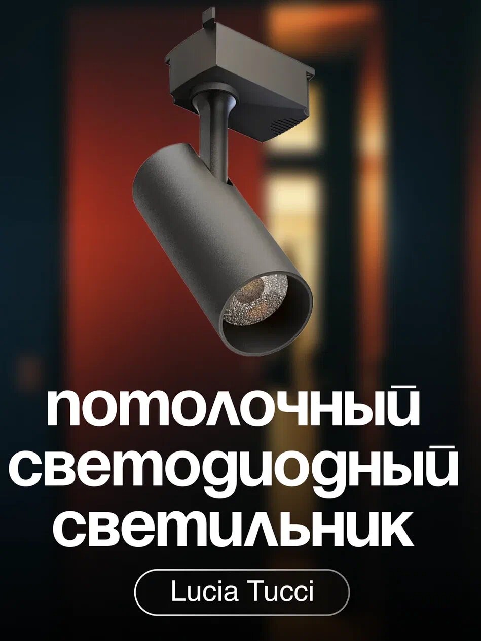 Трековый светильник поворотный, светодиодный на шинопровод LTP-T020-30W-B