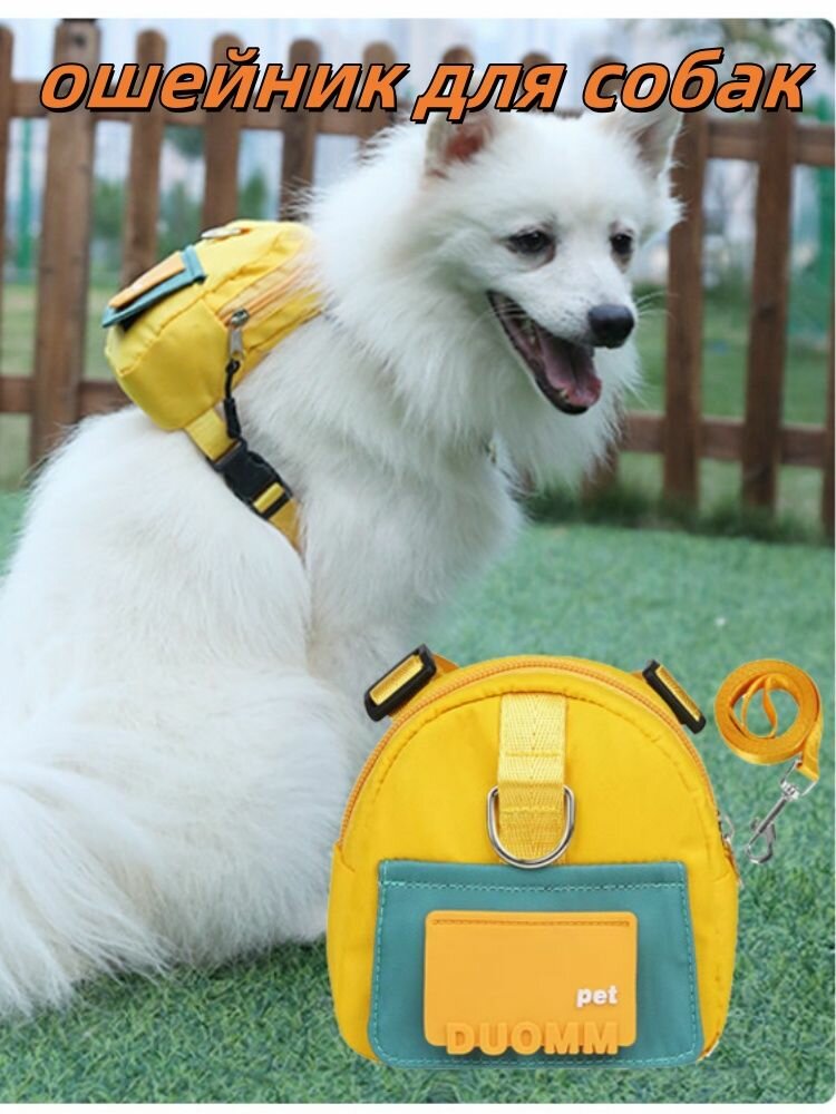 Шлейка для собак Маленькие и средние собаки приносят свои собственные нагрудные ремни рюкзака