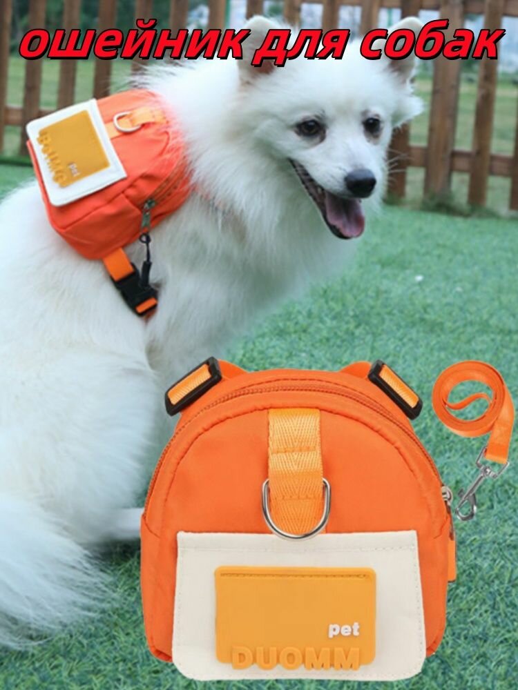 Шлейка для собак Маленькие и средние собаки приносят свои собственные нагрудные ремни рюкзака