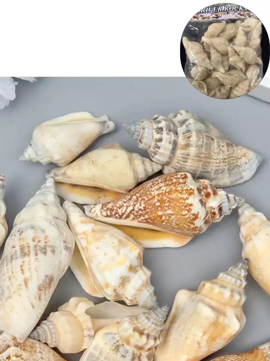 Набор декоративных речных ракушек River Rock