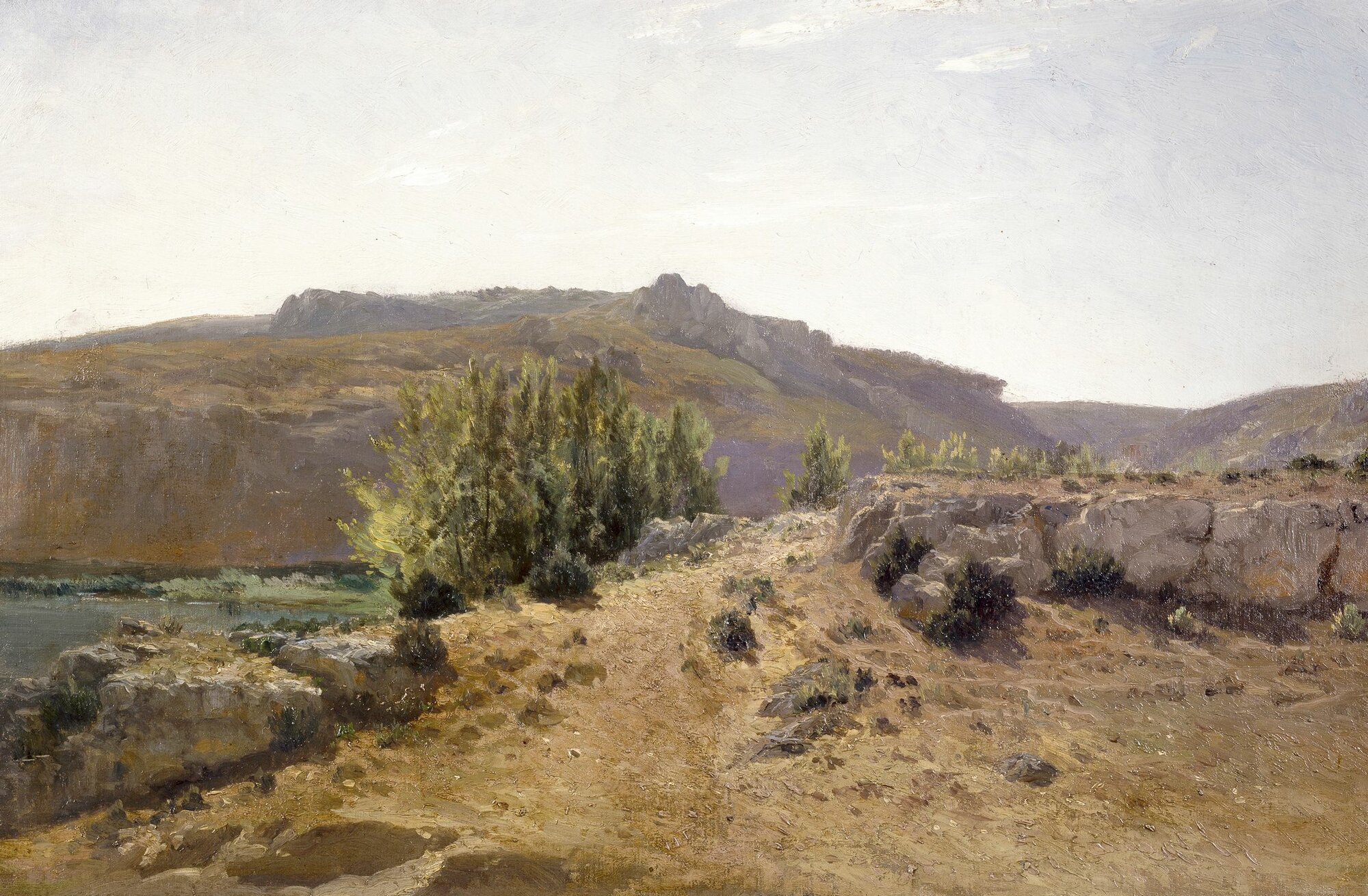 Картина Карлоса де Хаеса Нуэвалос Арагон 80х52 см