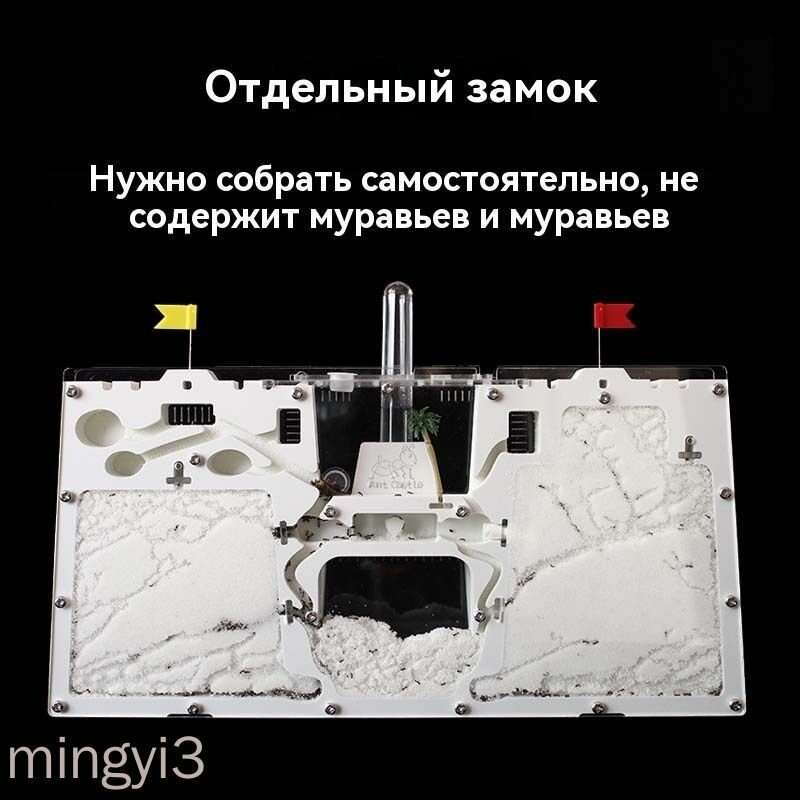 Муравьиная ферма — фото 1