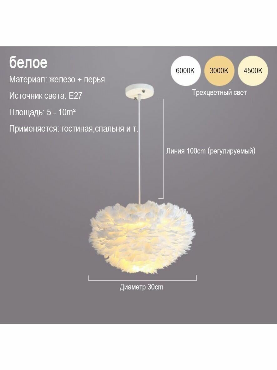 Современная простота, перья, люстры.-