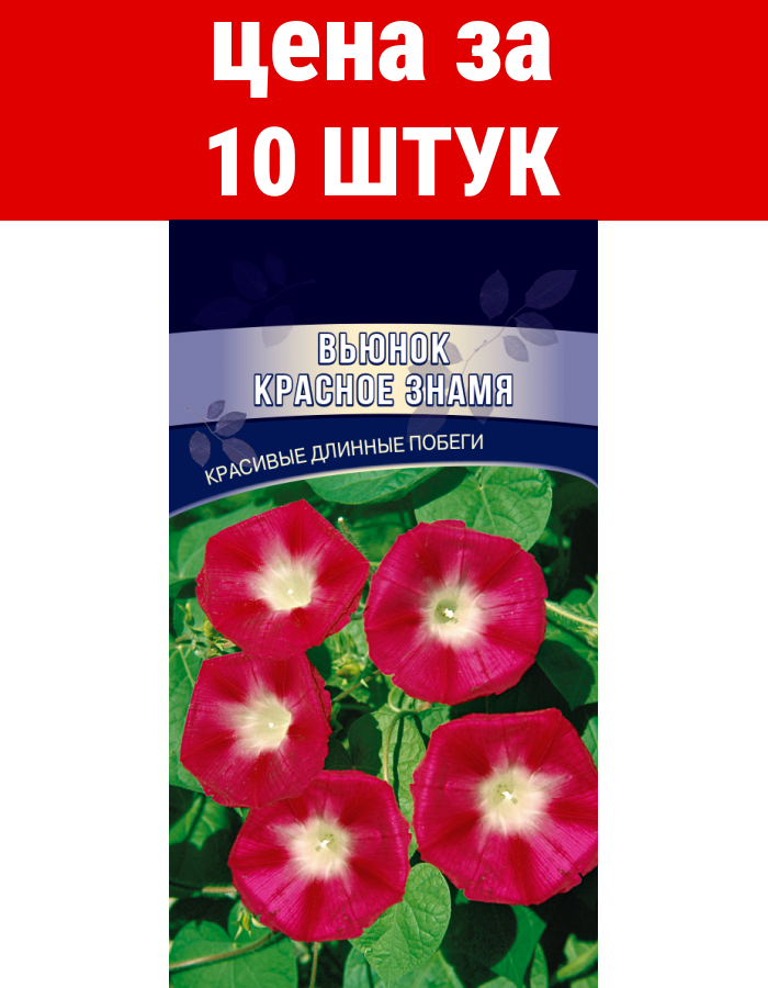 Комплект 10 шт, семена вьюнок красное знамя 0.15ГР семена групп