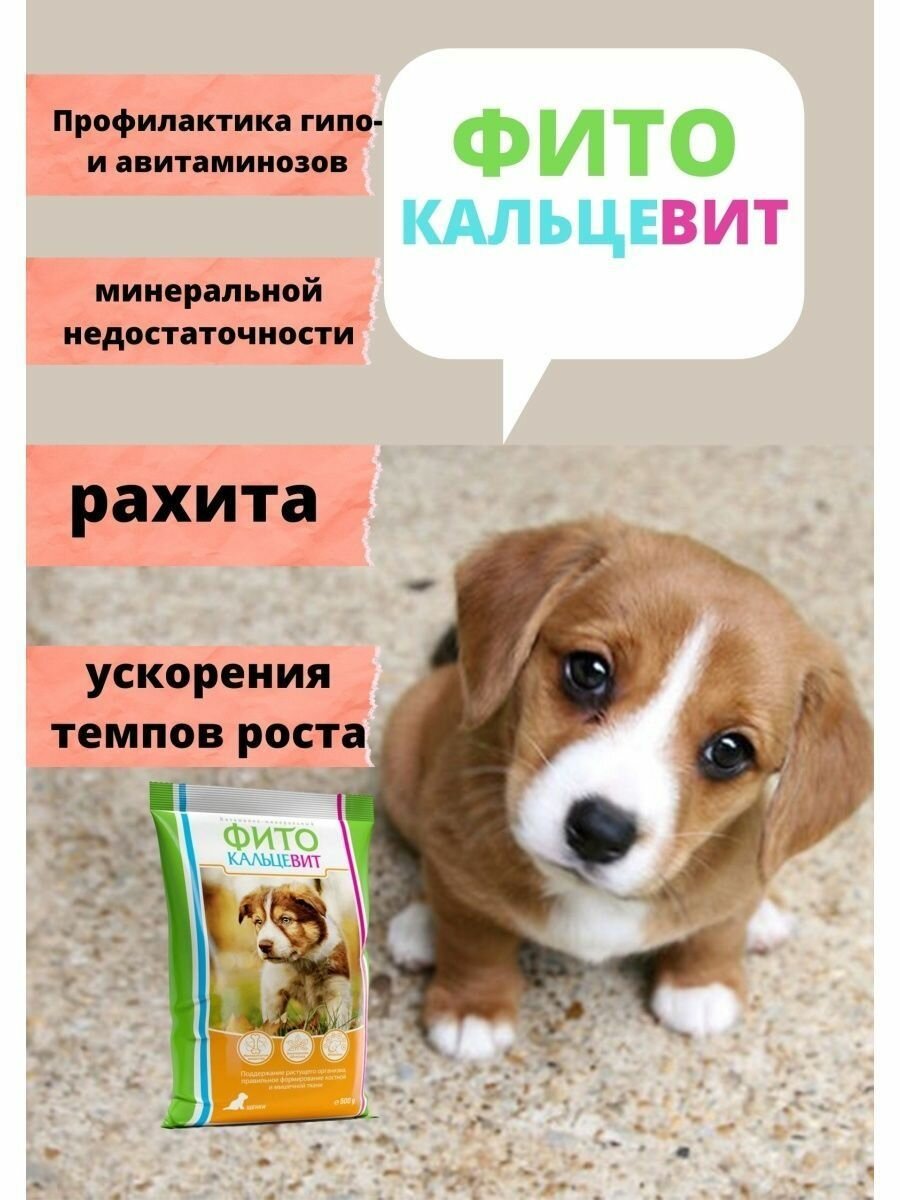 Фитокальцевит 0,5кг витаминно-минеральная добавка для щенков — фото 1