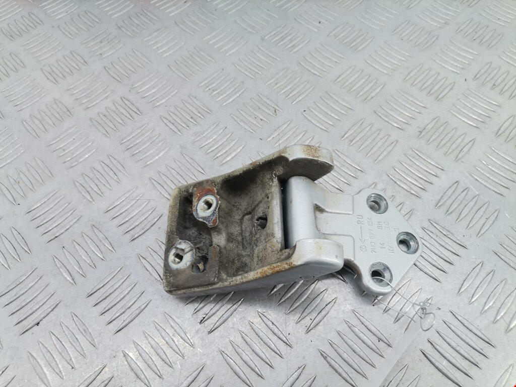 Петля двери распашной Volkswagen Transporter (T5) 7H0827154F арт. 1900096