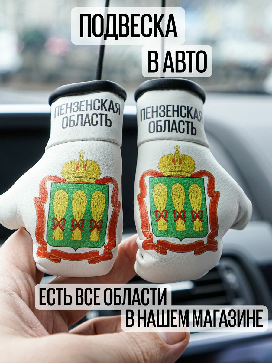 Подвеска в машину жителю Пензенской области