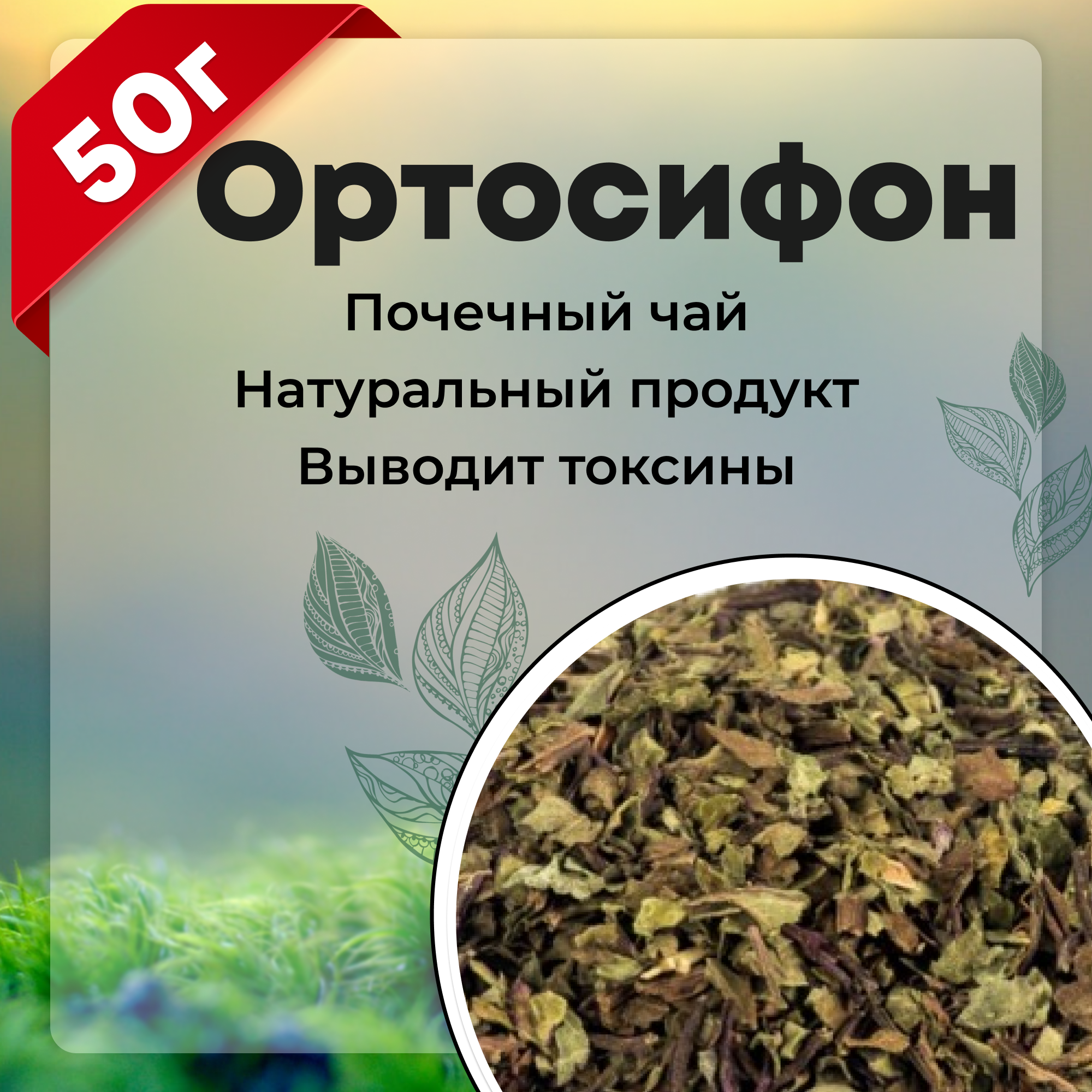 Ортосифон листья 50 гр. Ортосифон тычиночный, Ортосифон трава, Почечный чай, Травяной чай, Травяной сбор, 50 гр.