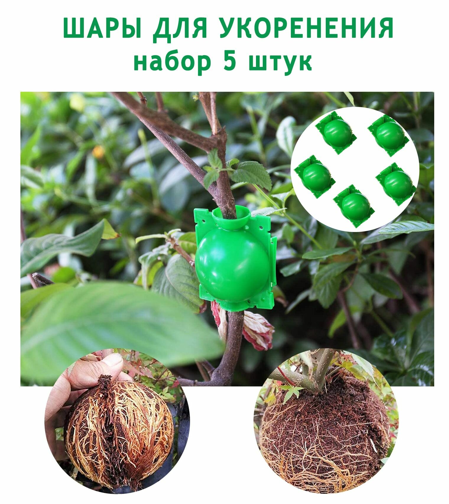 Шар для укоренения растений и веток, диаметр 8 см, цвет зелёный, комплект 5 штук