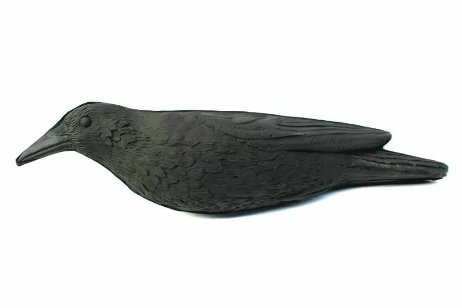 Чучело (муляж) вороны