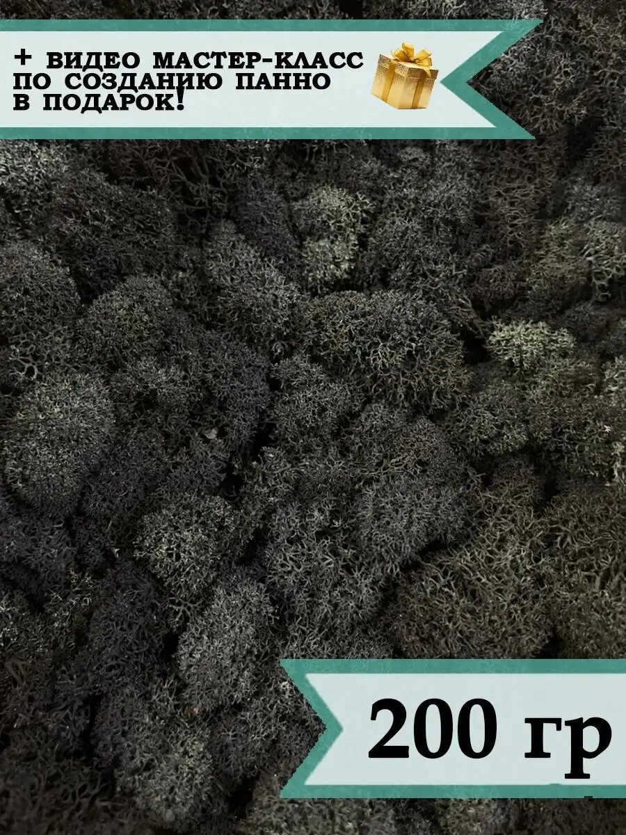 Мох стабилизированный ягель декоративный для озеленения